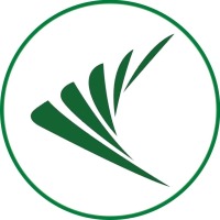 Madina Scale | Daraz BD