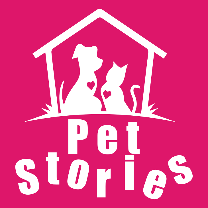 Shop online with Pet Stories now! Visit Pet Stories on Daraz.