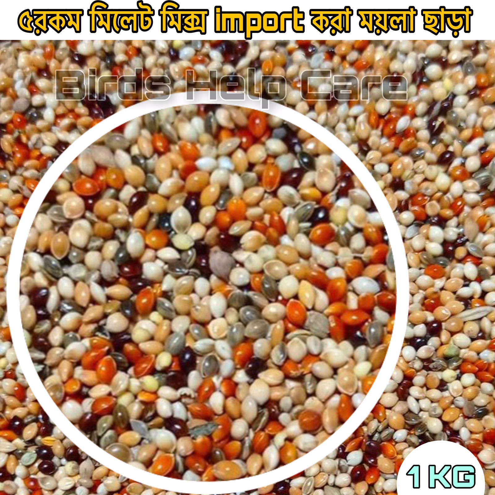 Millet Mix imported 5color for Bird - 1kg | Daraz.com.bd