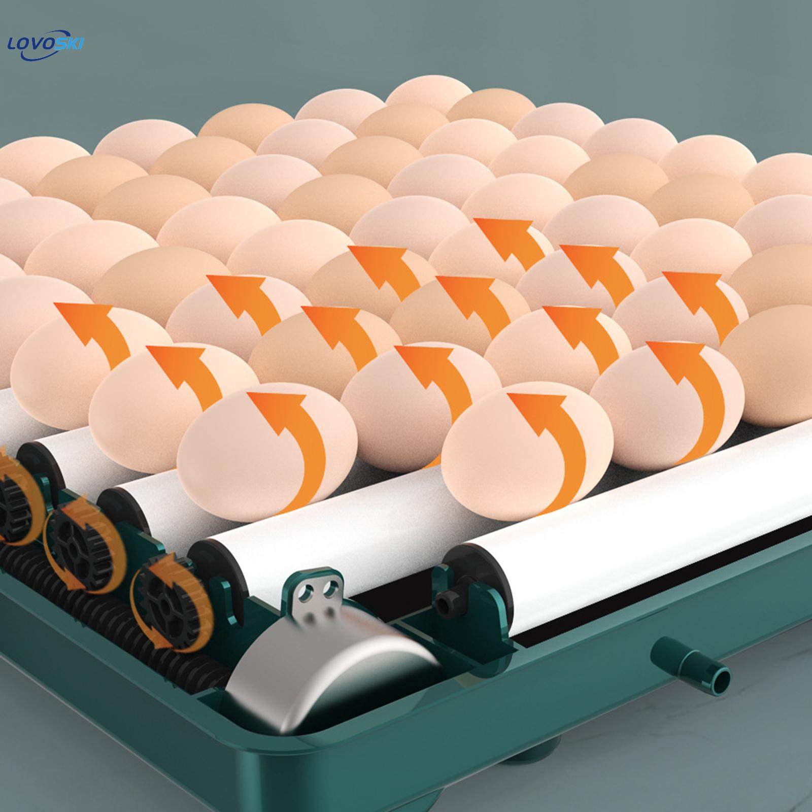 Automatic Intelligent Egg Incubator Small Egg Hatcher Machine for Duck ...