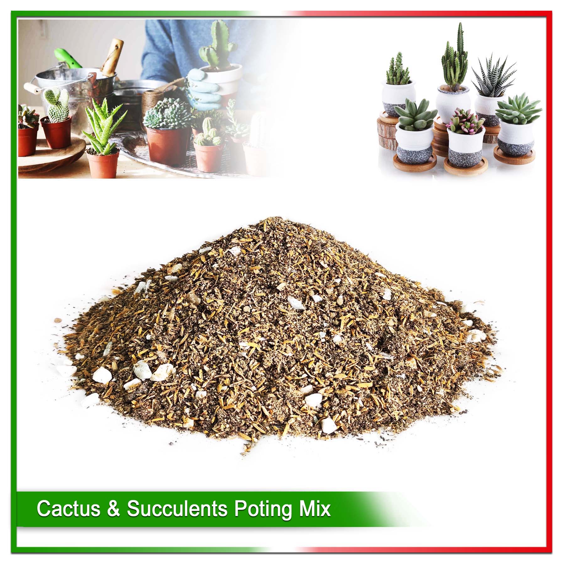 Cactus & Succulents Soil Mix (Premium) - 1 Kg | Daraz.com.bd