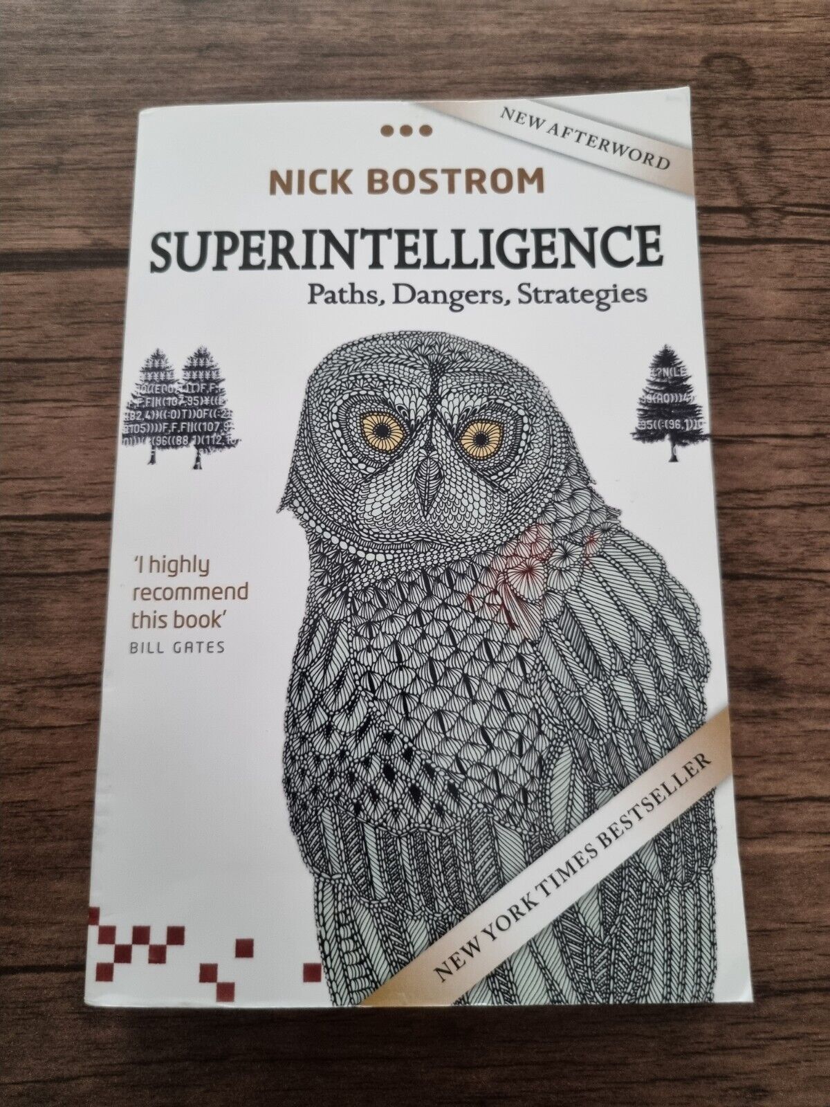 Superintelligence: Paths, Dangers, Strategies Book by Nick Bostrom | Daraz.com.bd