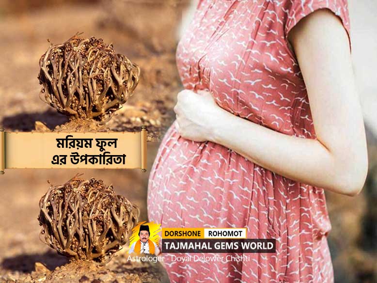 Flower of Maryam Booti Nabi Booti 1 pis (মরিয়ম ফুল) | Daraz.com.bd