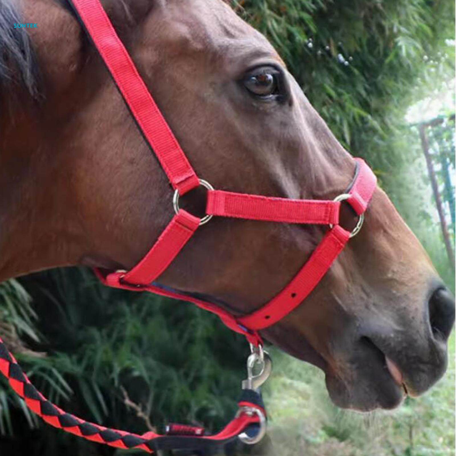 Horse Lead Rope Horse Leading Rope for Livestock Horse Rope Leash ...