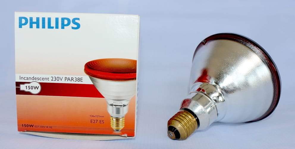 Philips Infrared Heating Lamp BULB-150W | Daraz.com.bd