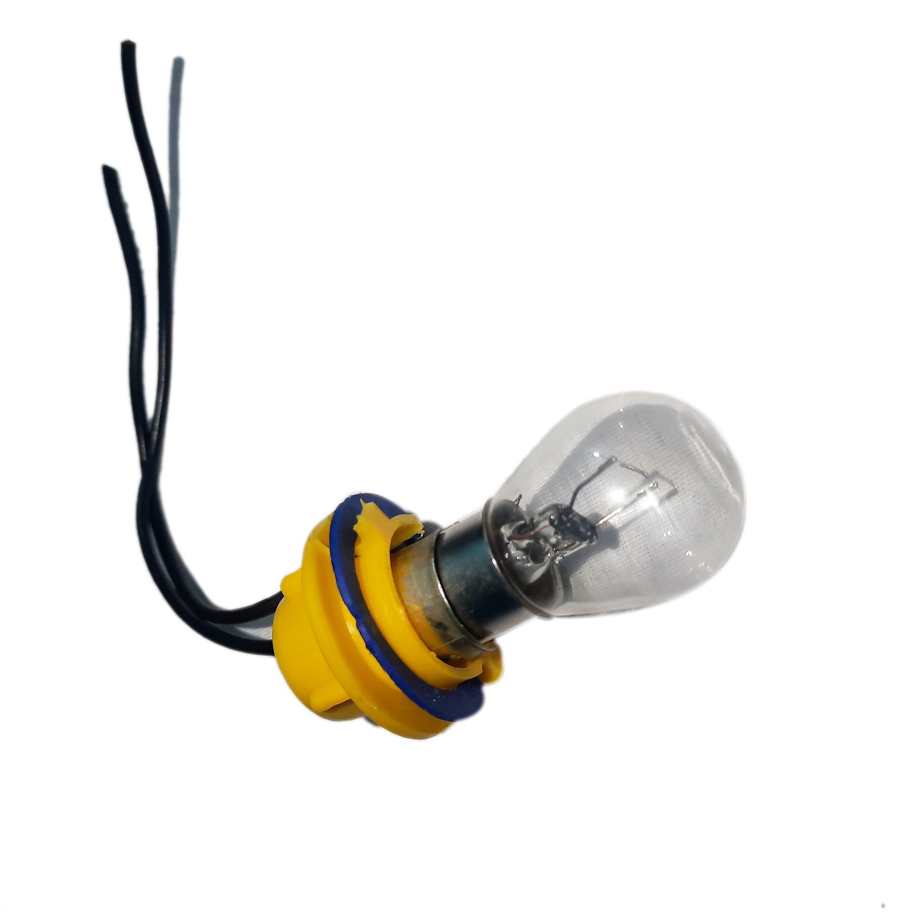 DC Bulb and DC Bulb Holder For Incubator and Heating | Daraz.com.bd