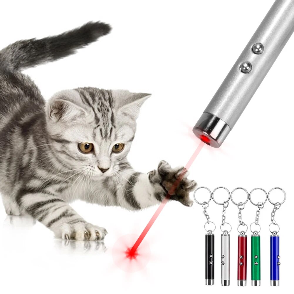 4mW Keychain Laser Pointer 2 In 1 Light Lazer Red Laser Lazer Pointer ...