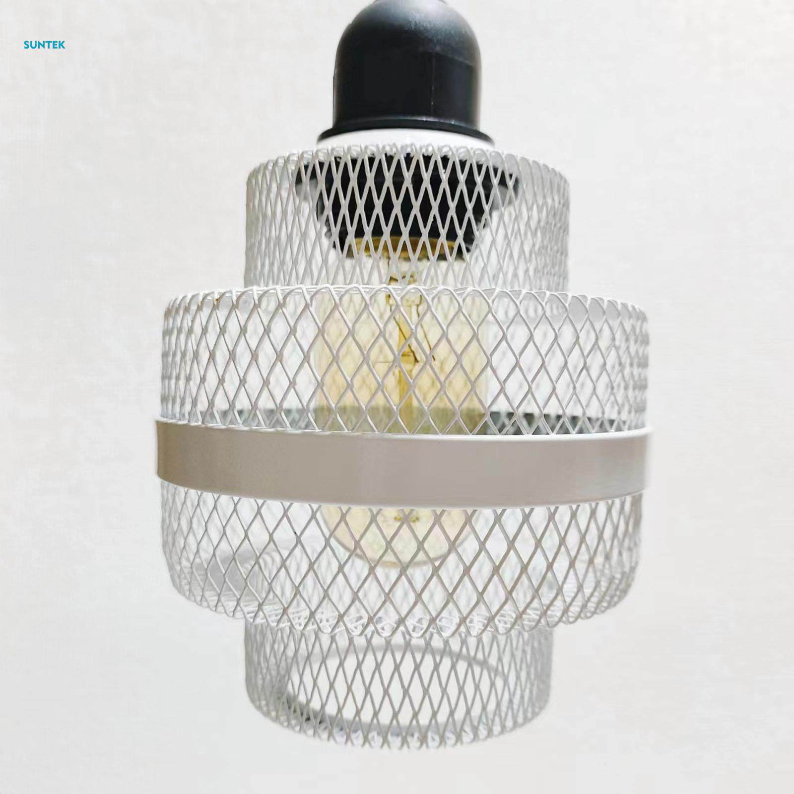 Ceiling Light Fixtures Lamp Shade Metal Wire Light Cage Fitting, Hollow ...