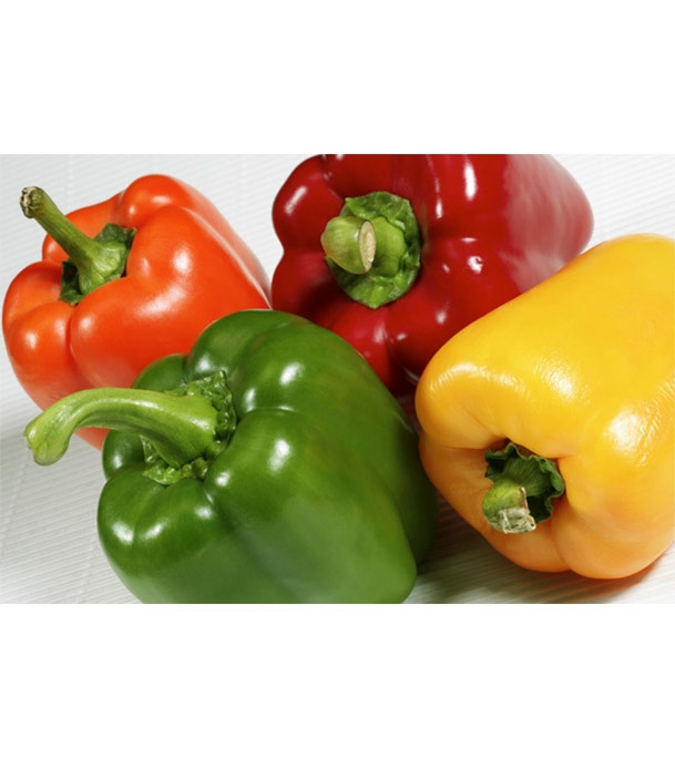 Hybrid Capsicum Seeds Intact packet | Daraz.com.bd