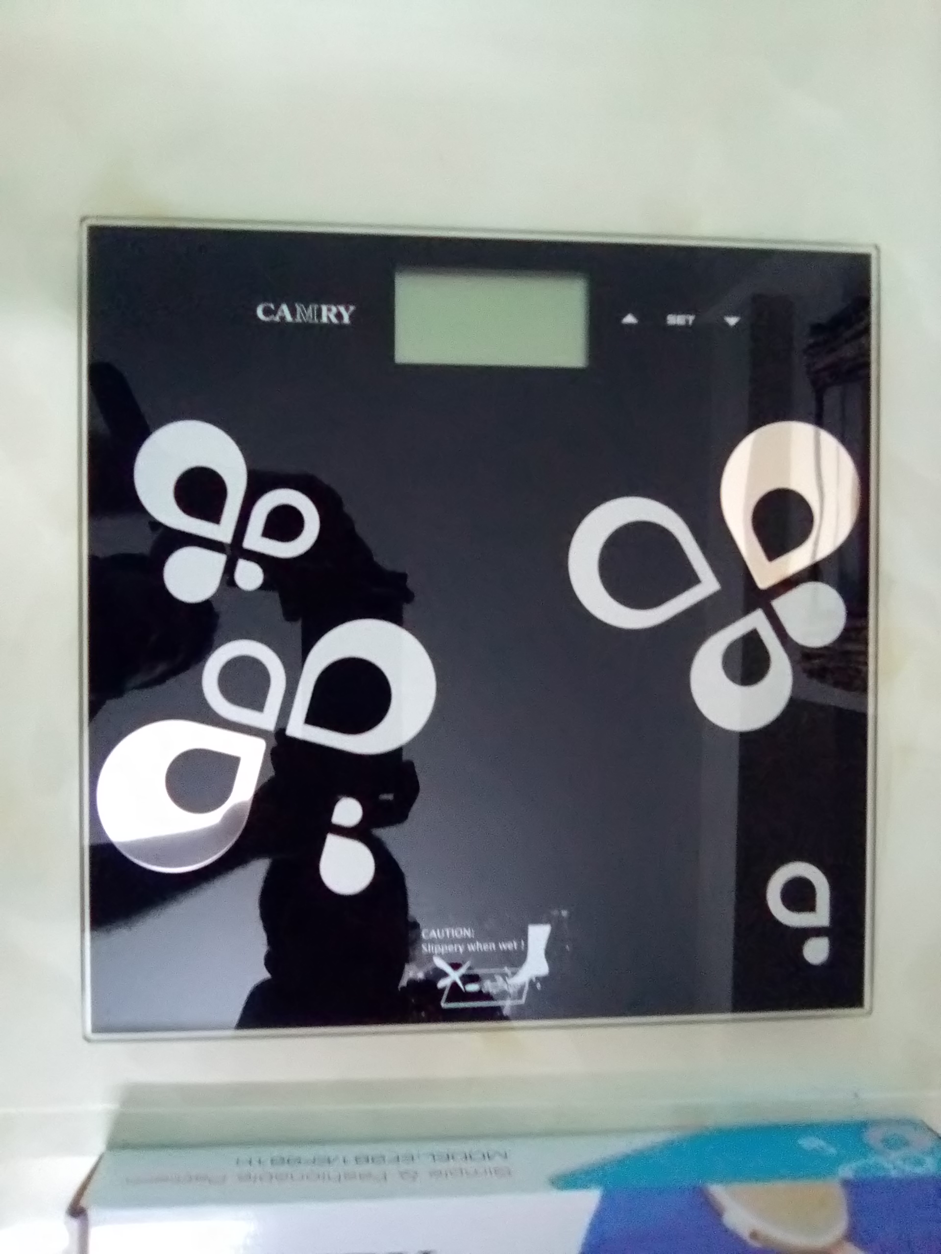 Digital weight machine/ Digital weight scale Camry 981 | Daraz.com.bd