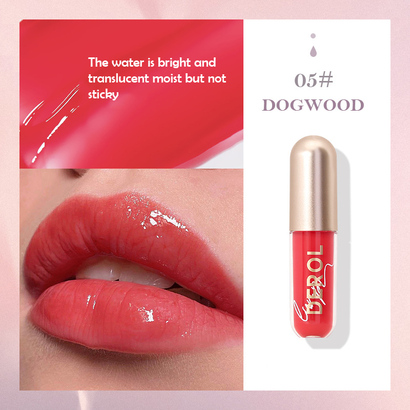 DEROL Lip Gloss Shiny Water Gloss Mirror Moisturizing Lip Glaze Glitter Liquid Lipstick DR061 ...