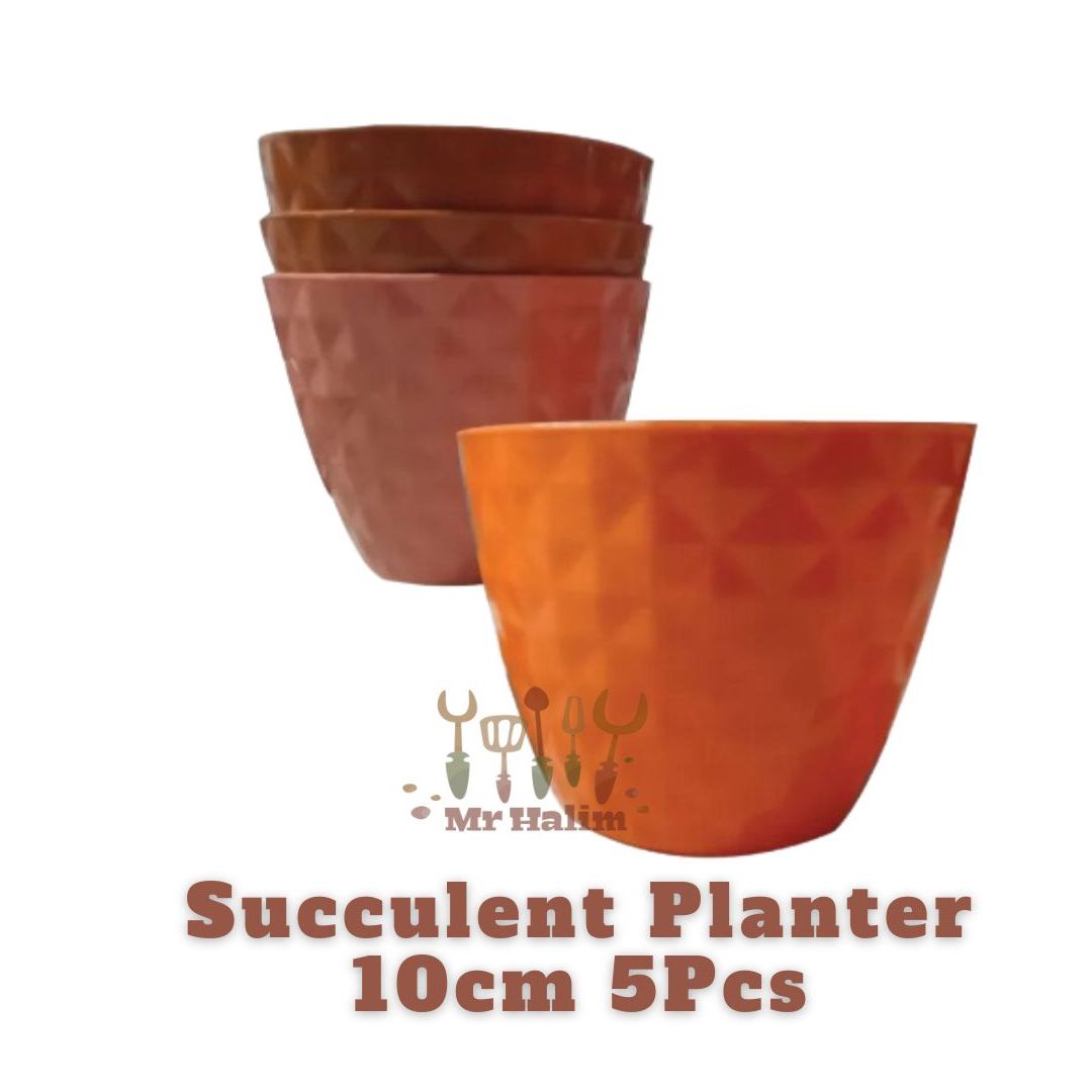 Succulent Planter/Plastic Pot Tob/Cactus Pot -(10 cm Size) - 5pcs/10pcs ...