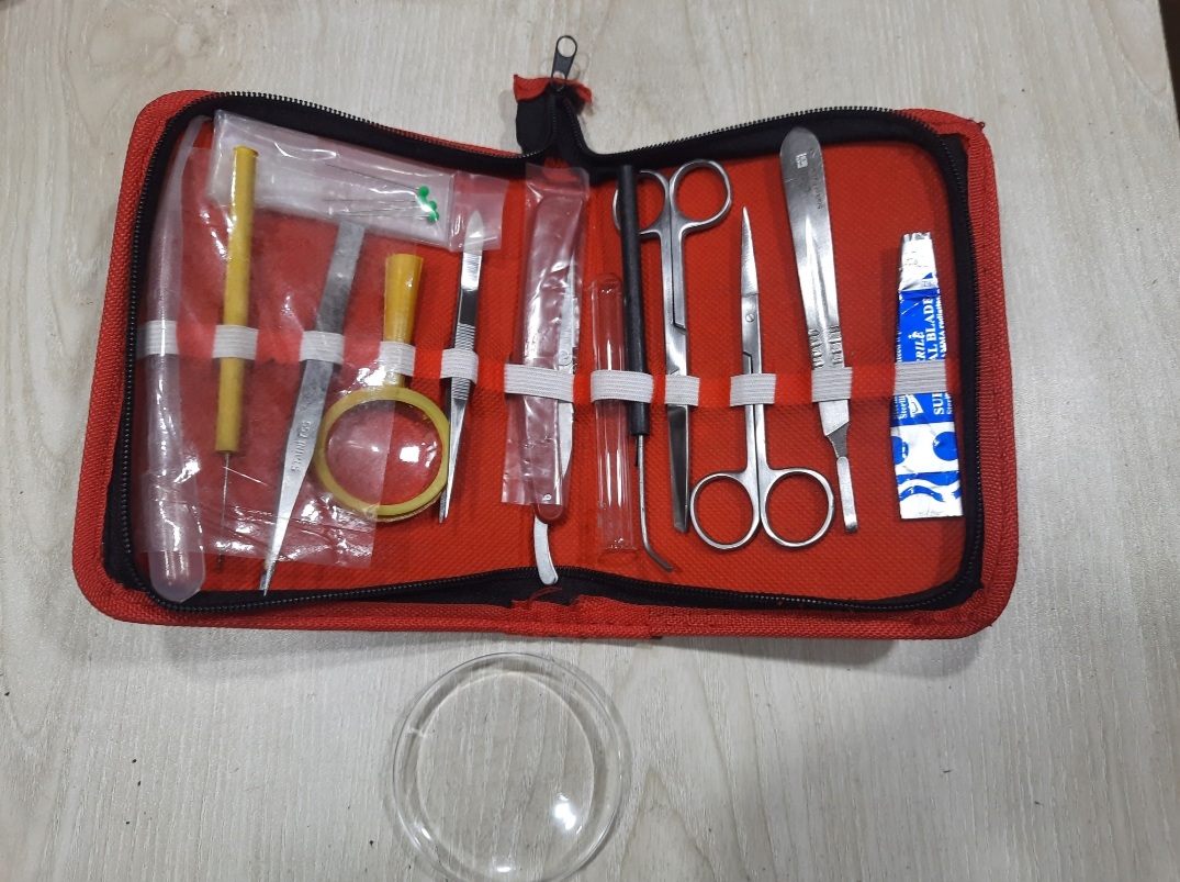 Dissection Box for Biology Laboratory. | Daraz.com.bd