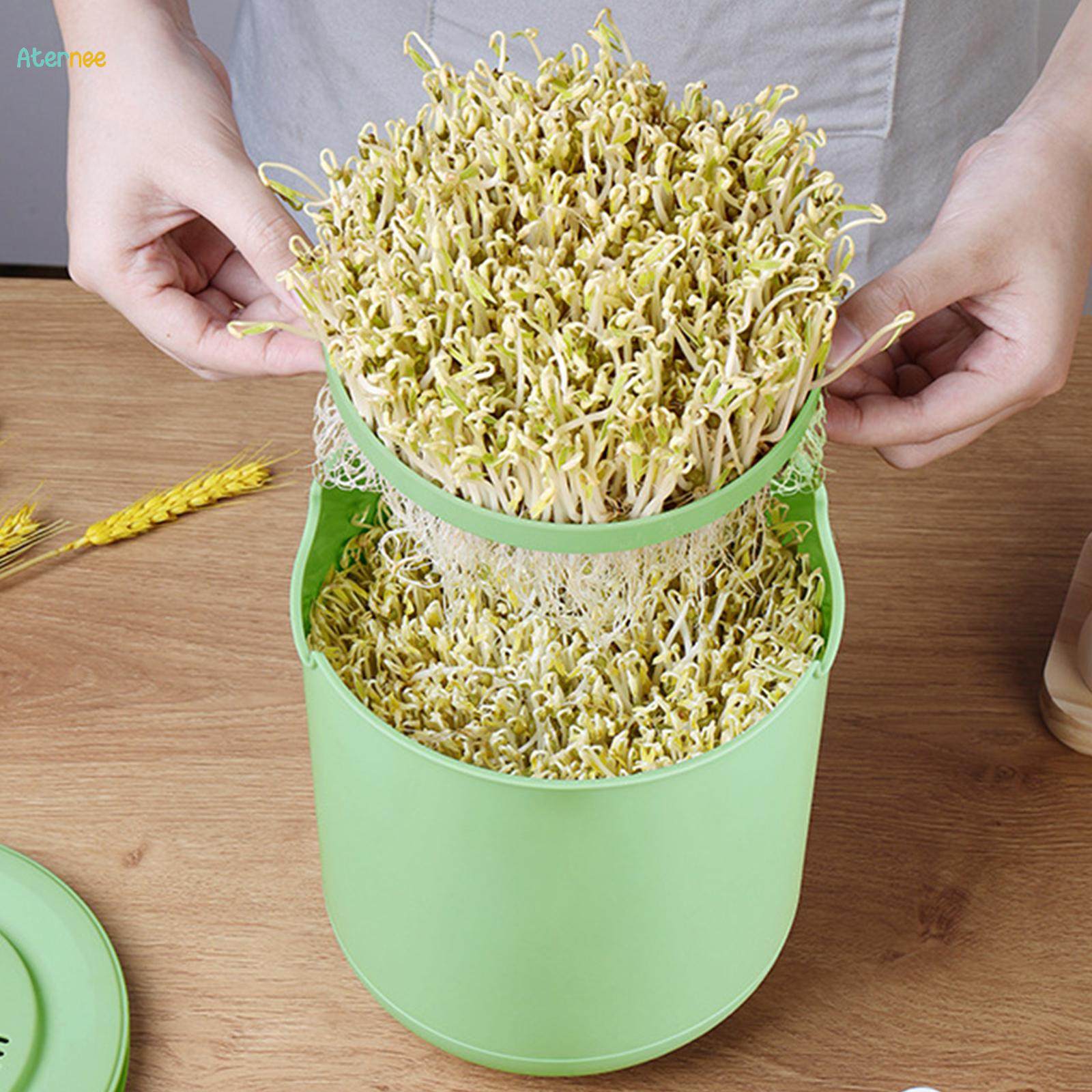 Bean Sprout Machine Bean Plants Sprouting System for Greenhouse ...