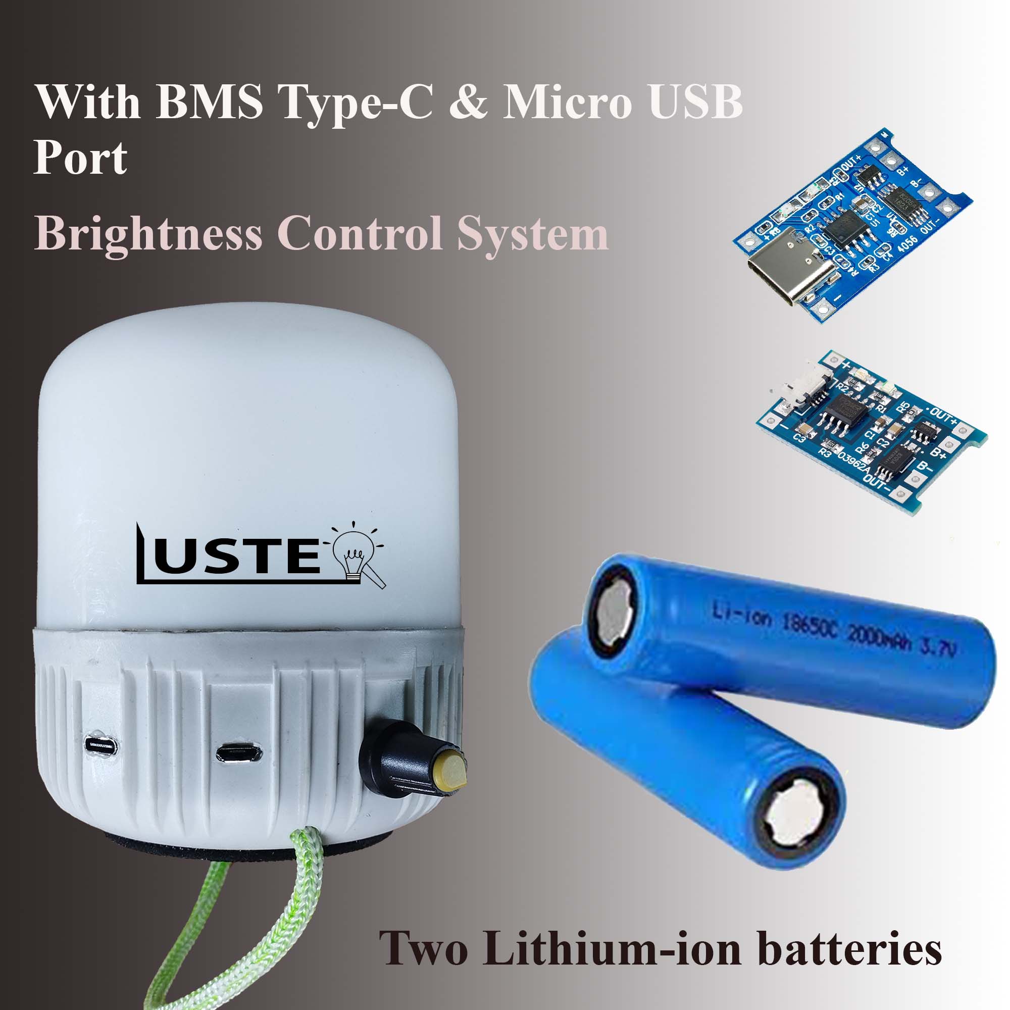 BMS Circuit USB Micro and Type-C with rechargeable charger flash LED lights - Great Value ...