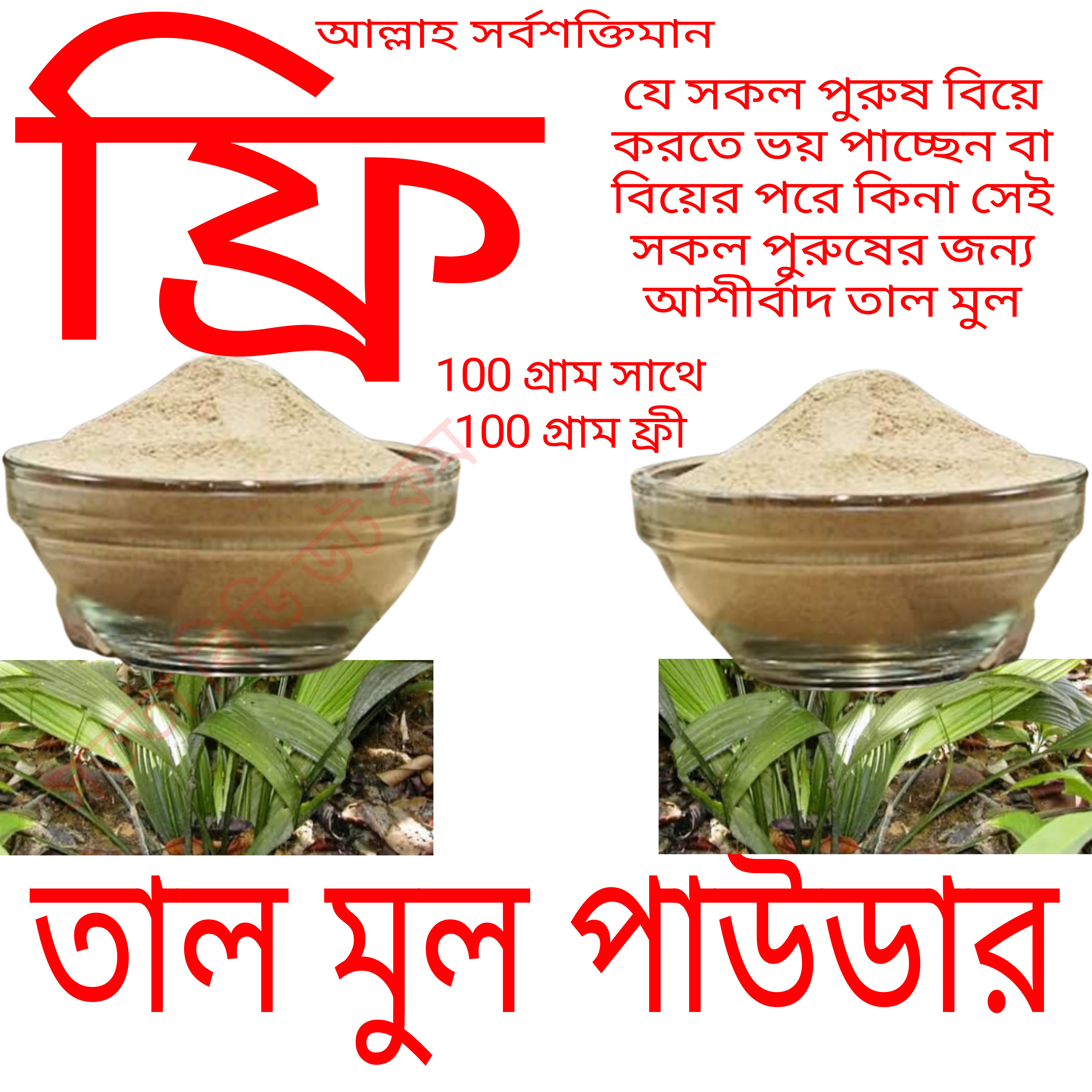 Tal mul / Organic Tal mul Powder Talmol 100 Gram with 100 gram free ...