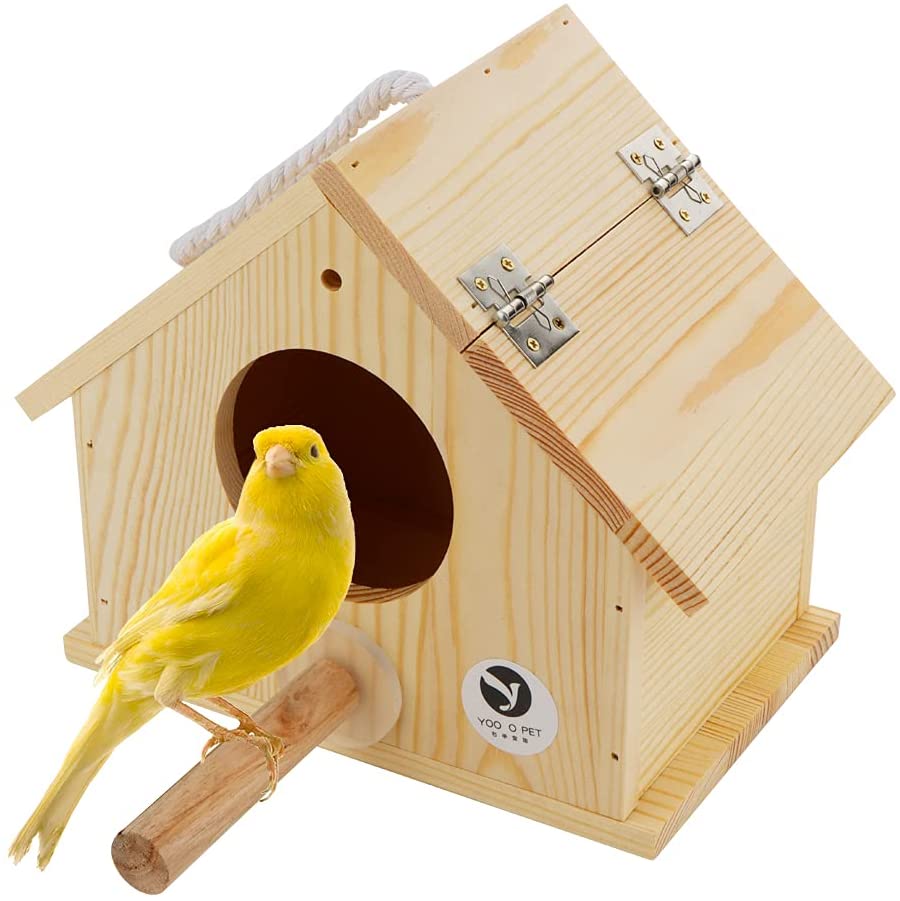 Wooden Bird breeding house for small Birds 1 Pcs | Daraz.com.bd
