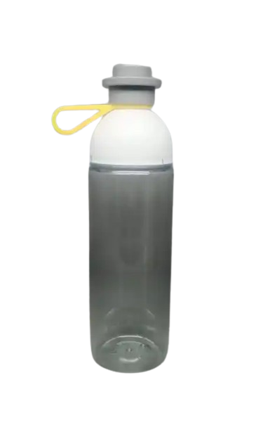 RFL Sunflower Water Bottle 600 ML Assorted 622456 | Daraz.com.bd