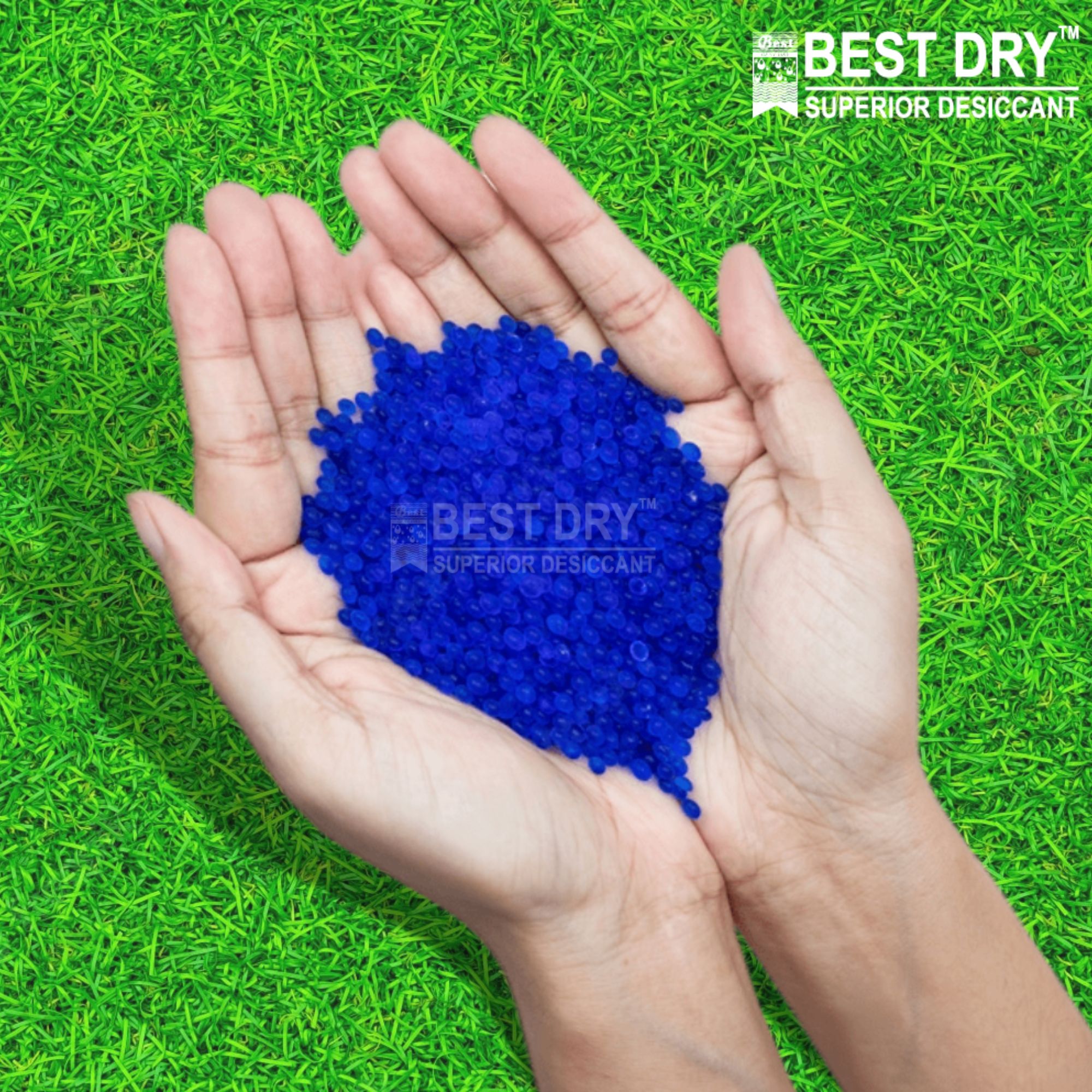 Blue Silica Gel 500g: Essential Camera Gear for Moisture Protection ...