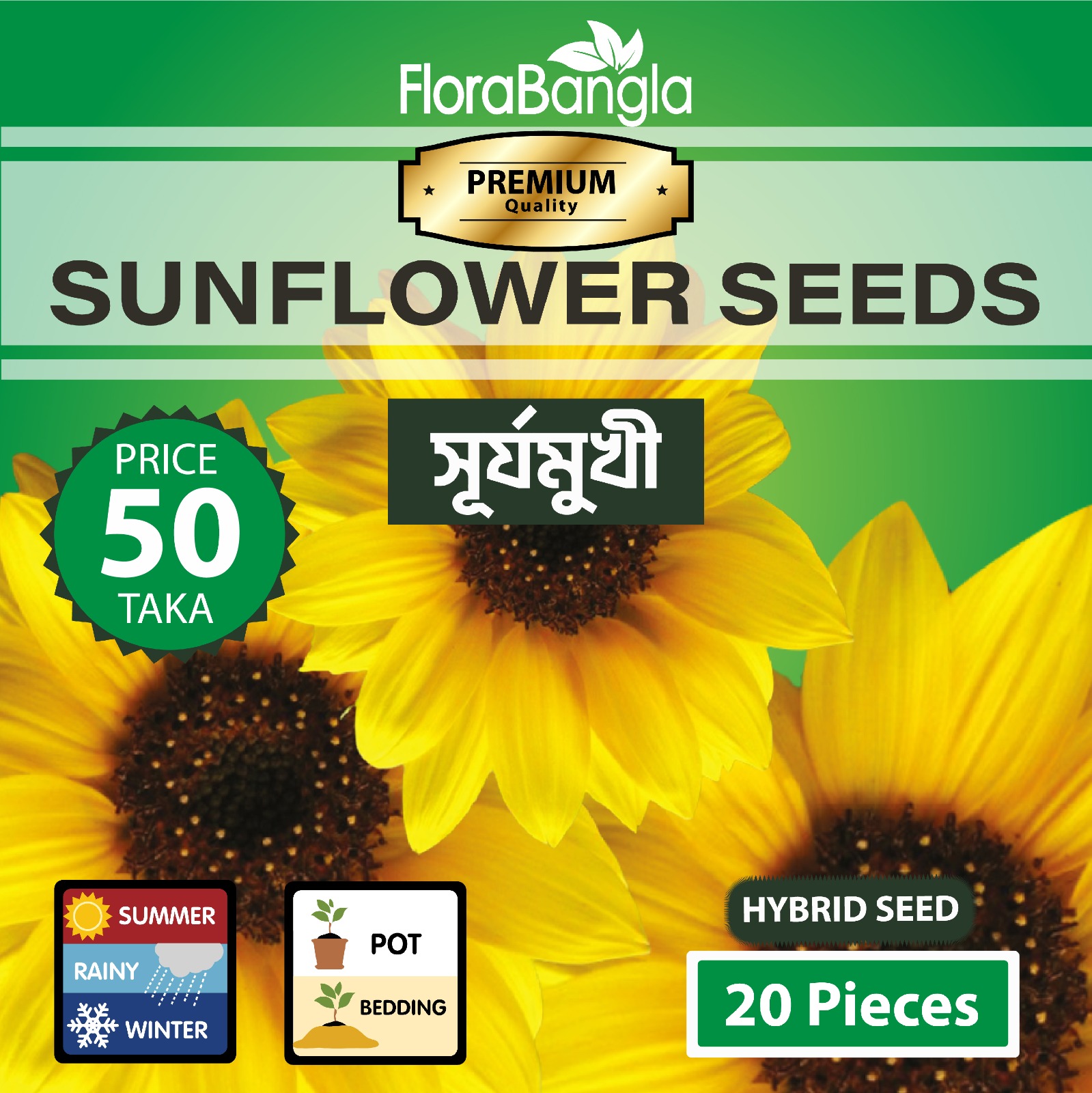 Hybrid Sunflower Seed for All Season - 20 pcs | Daraz.com.bd