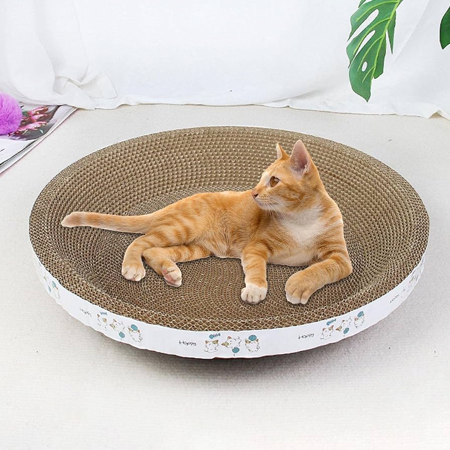 Cat Scratcher Board Round Cat Scratch Pad Bowl Nest for Indoor Play ...