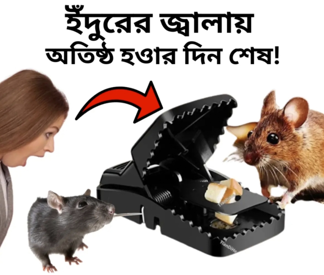 1Pcs (Big Size) Plastic Mouse Killer Trap for kill mice.Best Mouse ...