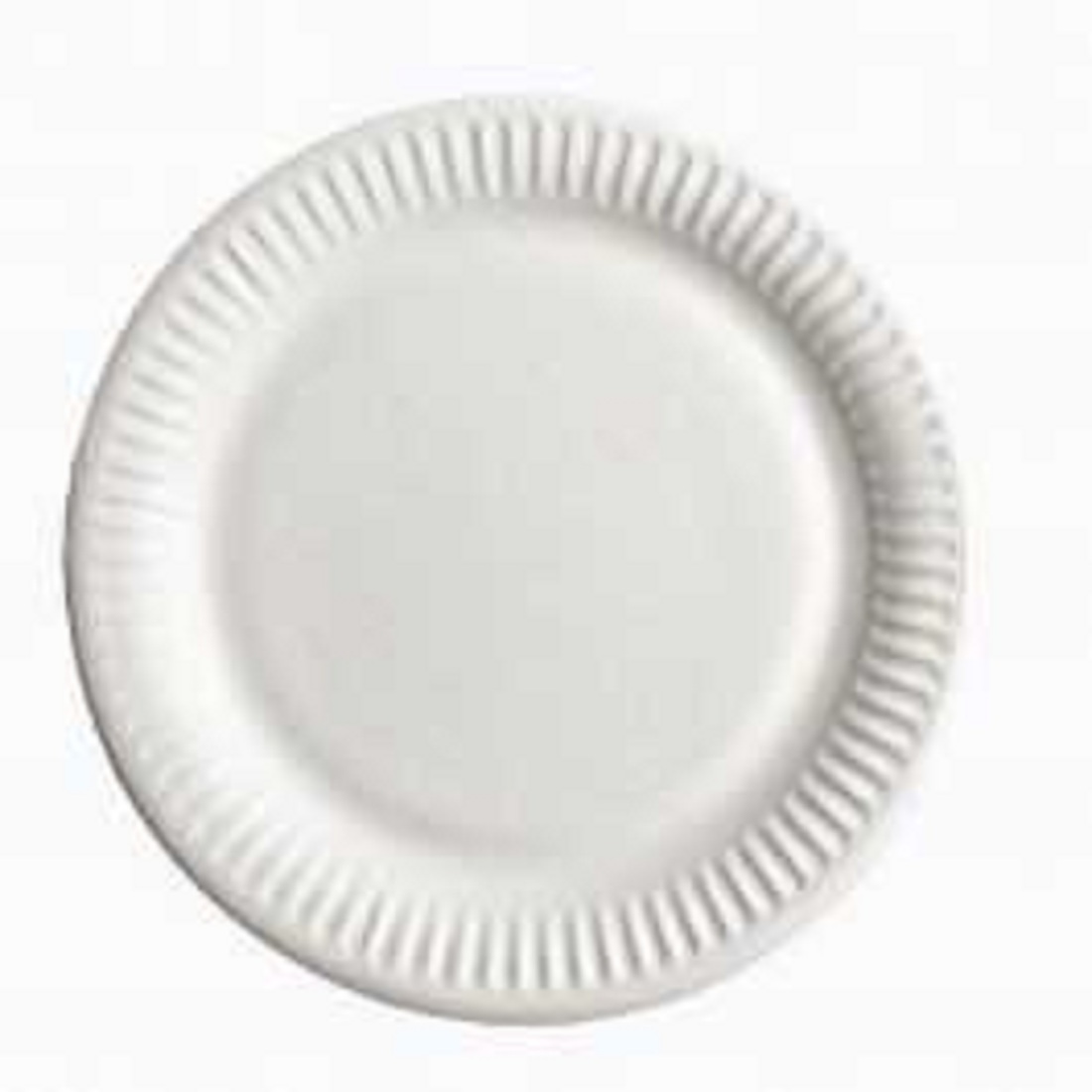 One Time Plastic Plate 100 pcs | Daraz.com.bd