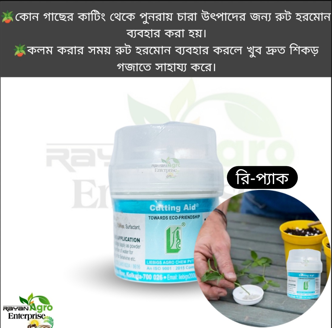 Root Hormone 5g Re-pack(Imported) | Daraz.com.bd