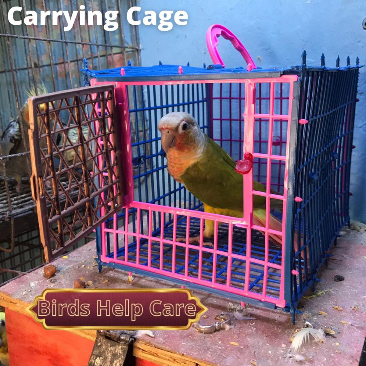 Birds Carrying Cage Only for Small Birds 1pc (Folding) | Daraz.com.bd