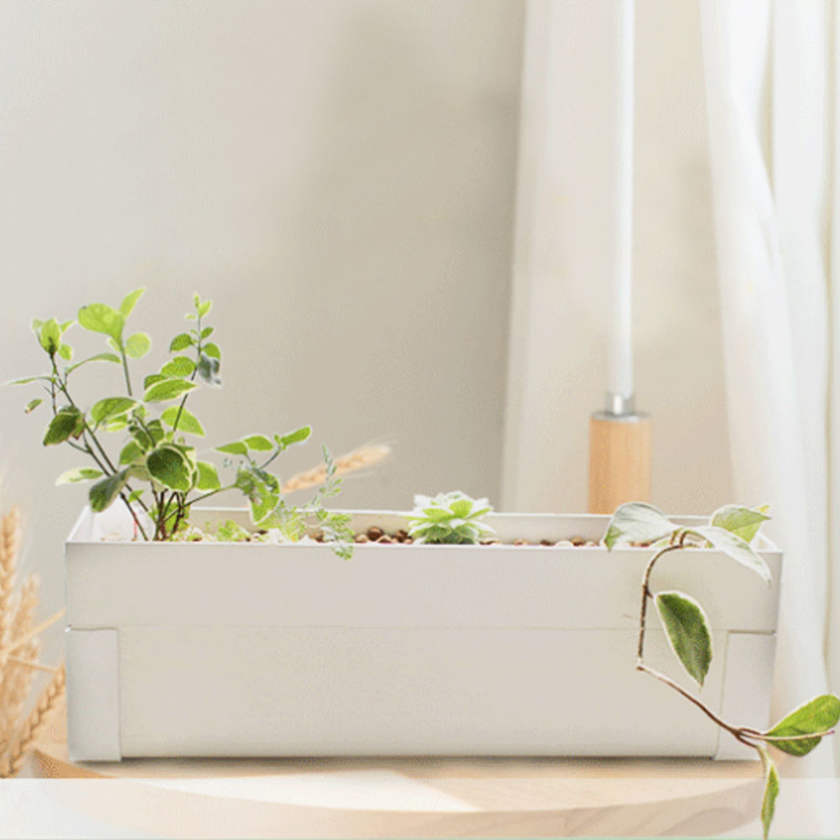 Soilless Cultivation Hydroponic Kit Planting Equipment for Home Office ...