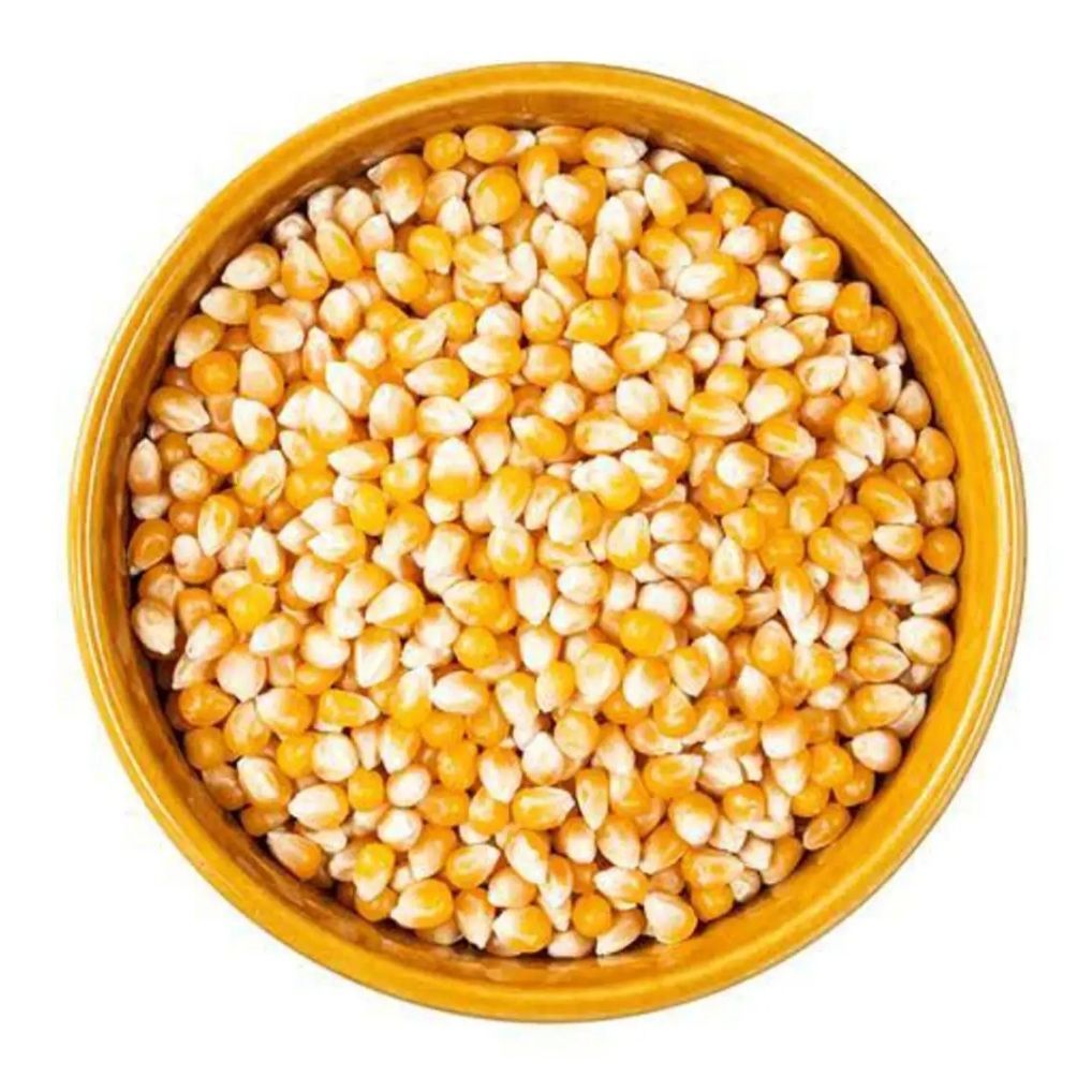 Pop corn seeds (premium quality) 500gm | Daraz.com.bd