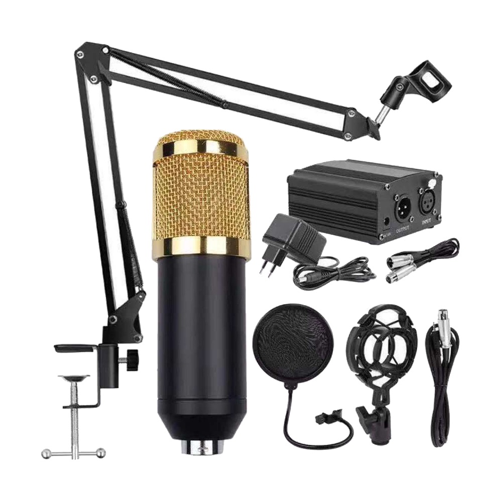 BM800 Condenser Microphone Package with Phantom Power Supply 48V & XLR ...
