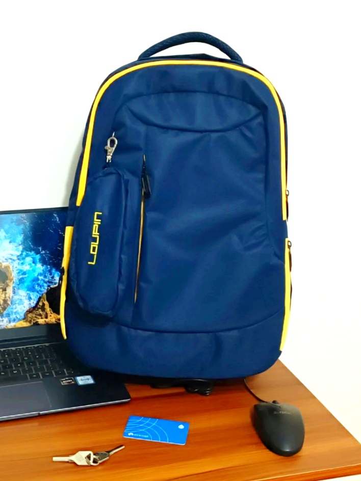Loupin School College & Laptop BackPack for Men / College bag / Travel ...