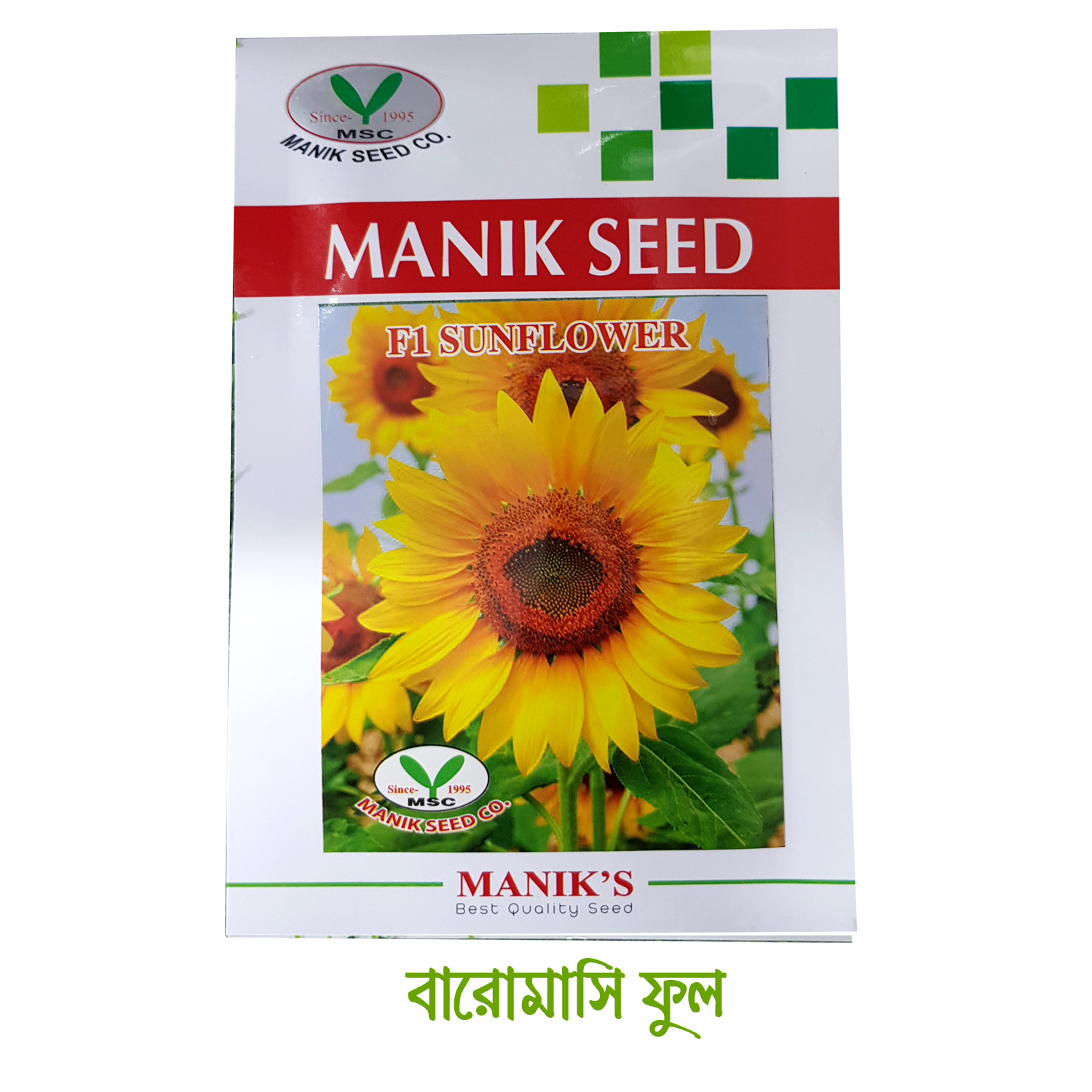 F1 Hybrid All Around Year/Twelve Months Flower Seeds (Mixed Color ...