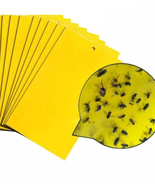 Yellow Sticky Traps - Adhesive Insect killing Trap - Yellow Color Traps ...