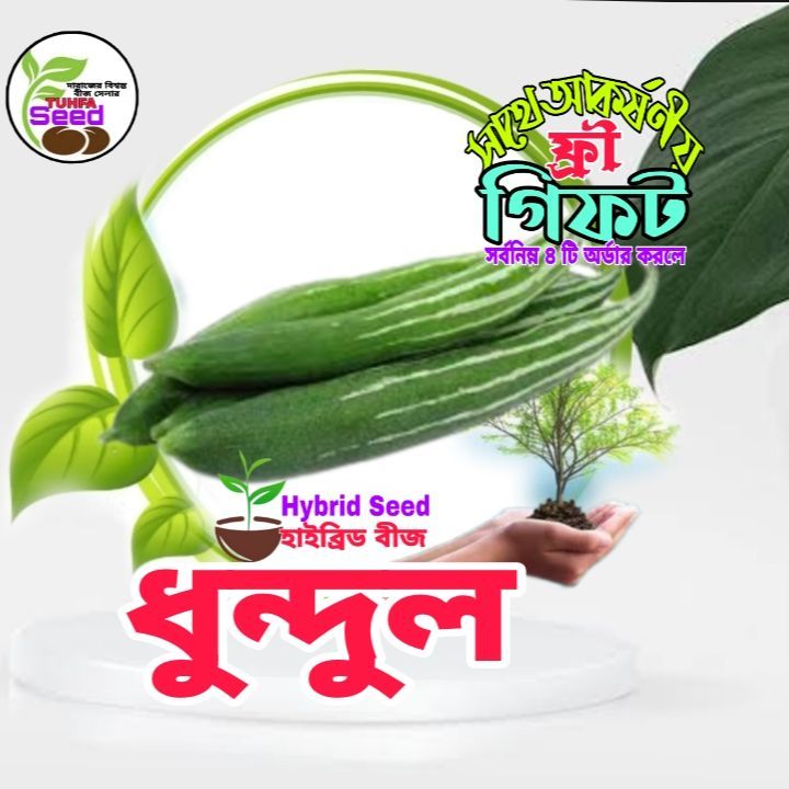 Hybrid Dhundul seeds 10 pcs | Daraz.com.bd