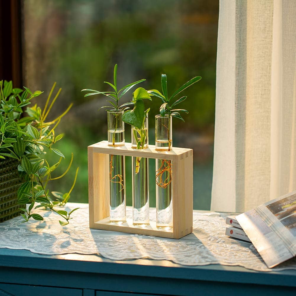 Glass Test Tube Plant Propagation Station Glass Vase Rack with Wood ...