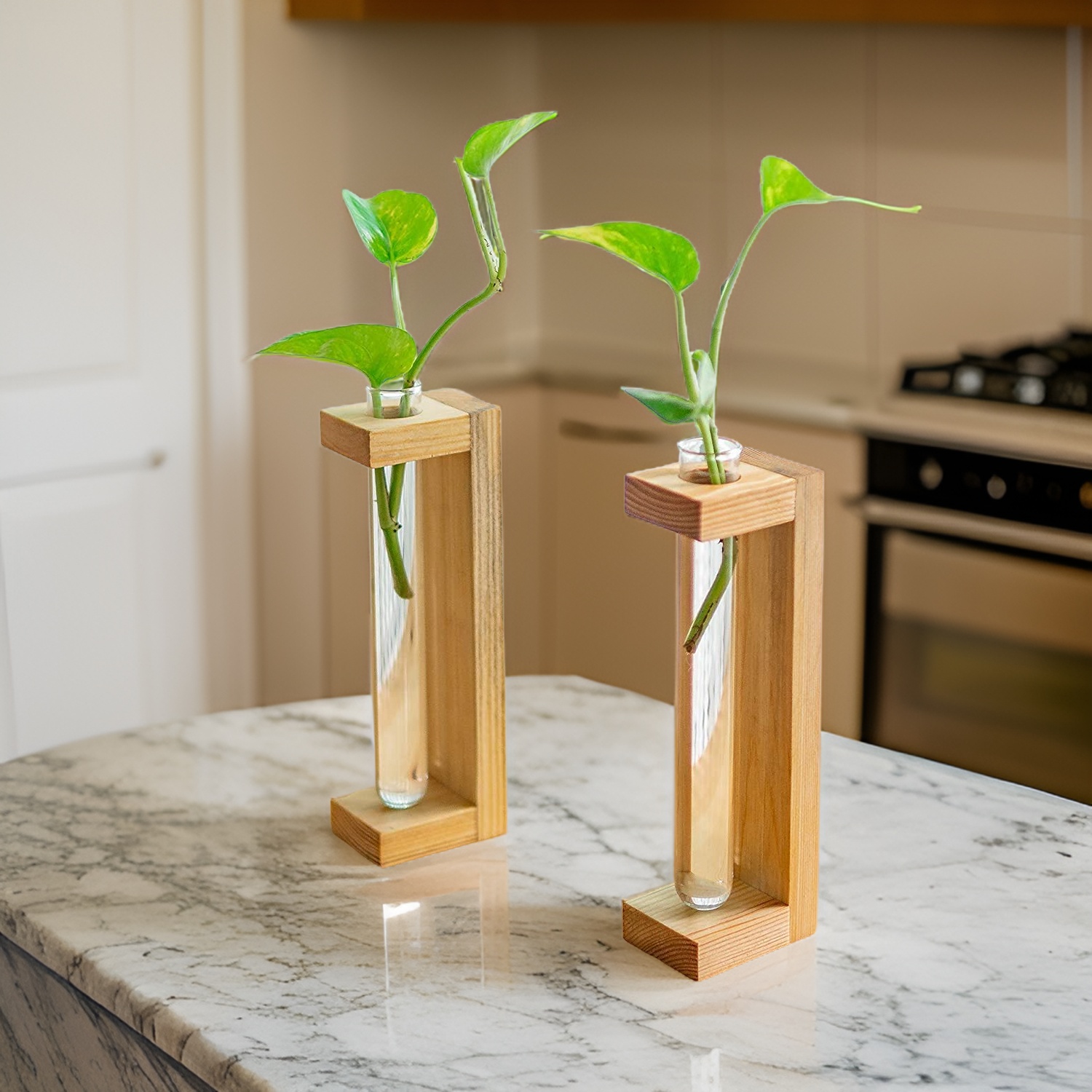 Decor Wooden Tabletop Planter Holder/Test Tube Planter Vine Holder ...