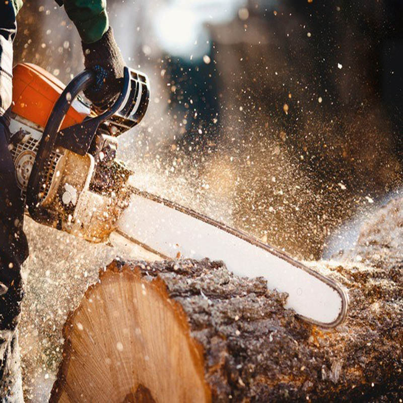 CHAIN SAW PETROL TIPE GASOLINE CHAIN SAW 20" WORKSITE 52CC TWO STROKE ...