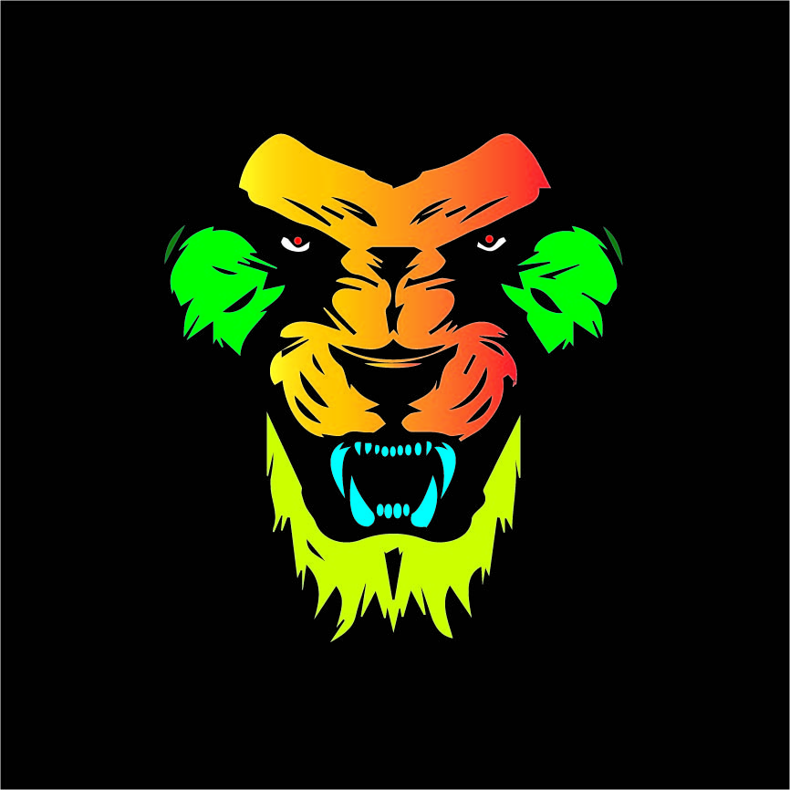 Lion Head Light Clear Sticker for Bike | Daraz.com.bd