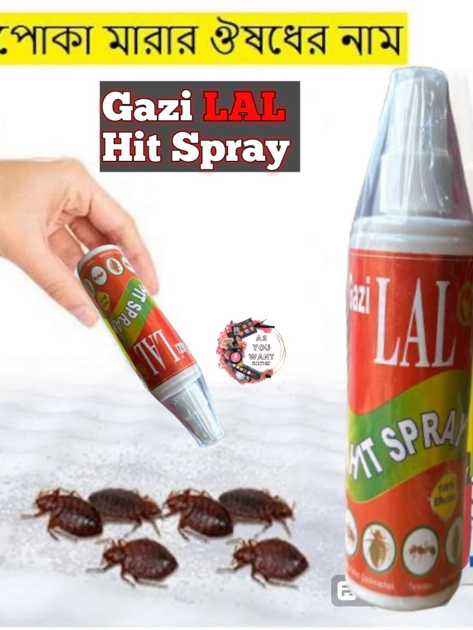 Charpoka & Bed Bug Killer Spray – 1000% Effective Insecticide ...