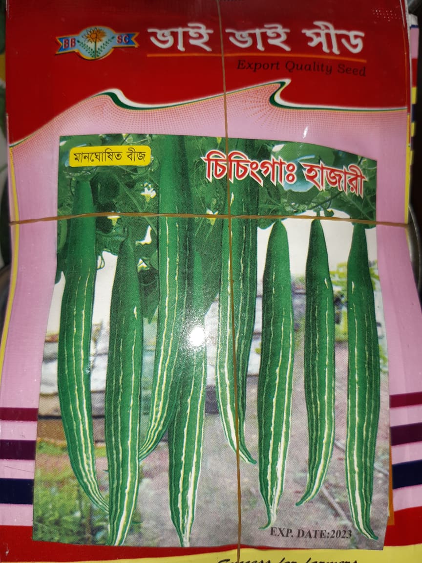 Hybrid Chichinga Seed / Snake Gourd Seeds Mini pack ( 2 Intact Pack ...