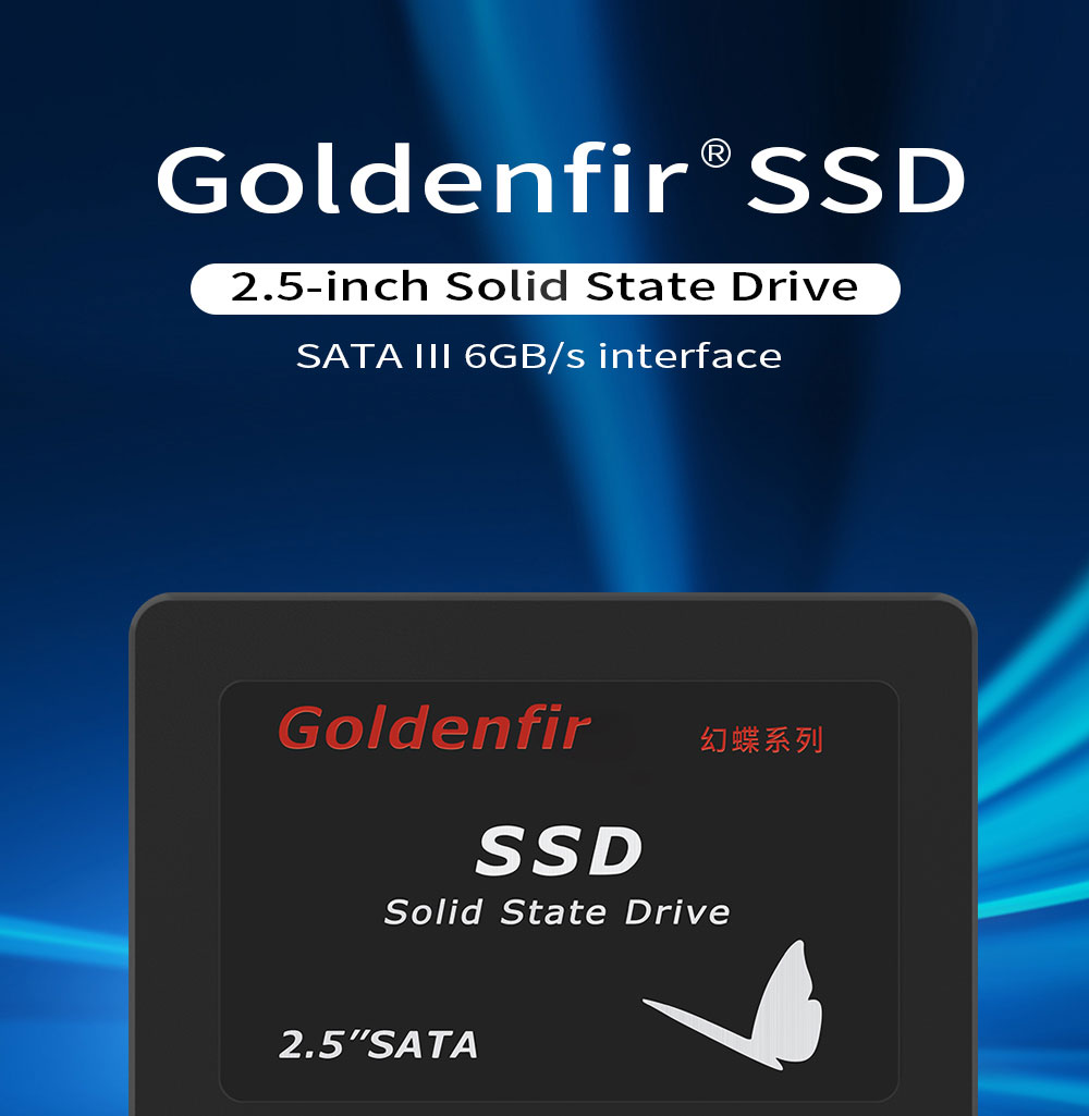 SSD 128GB | Goldenfir 2.5inch Internal SATA3 SSD 128GB Solid State ...