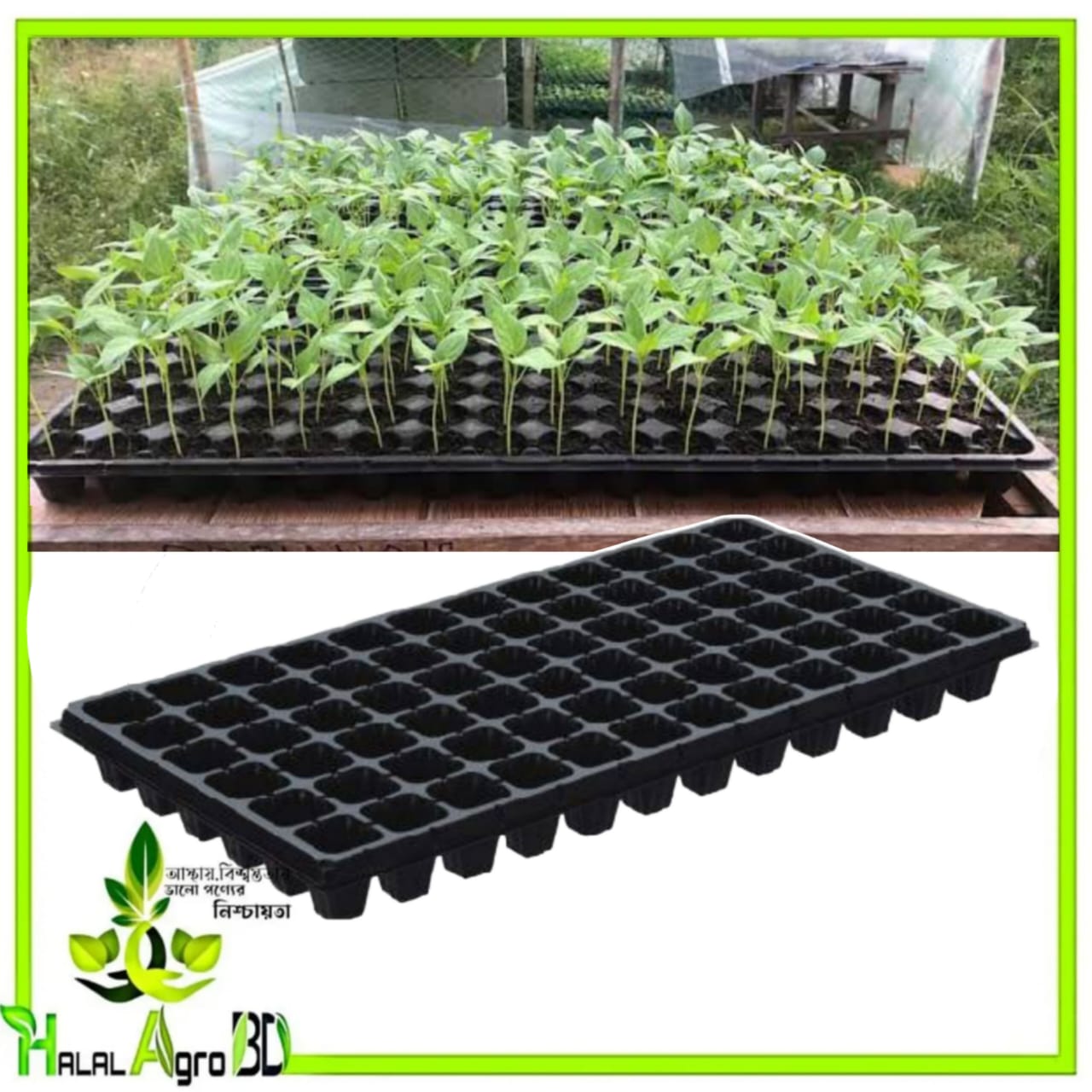 Seedling Tray 128 cells/Nursery Seedling Tray | Daraz.com.bd