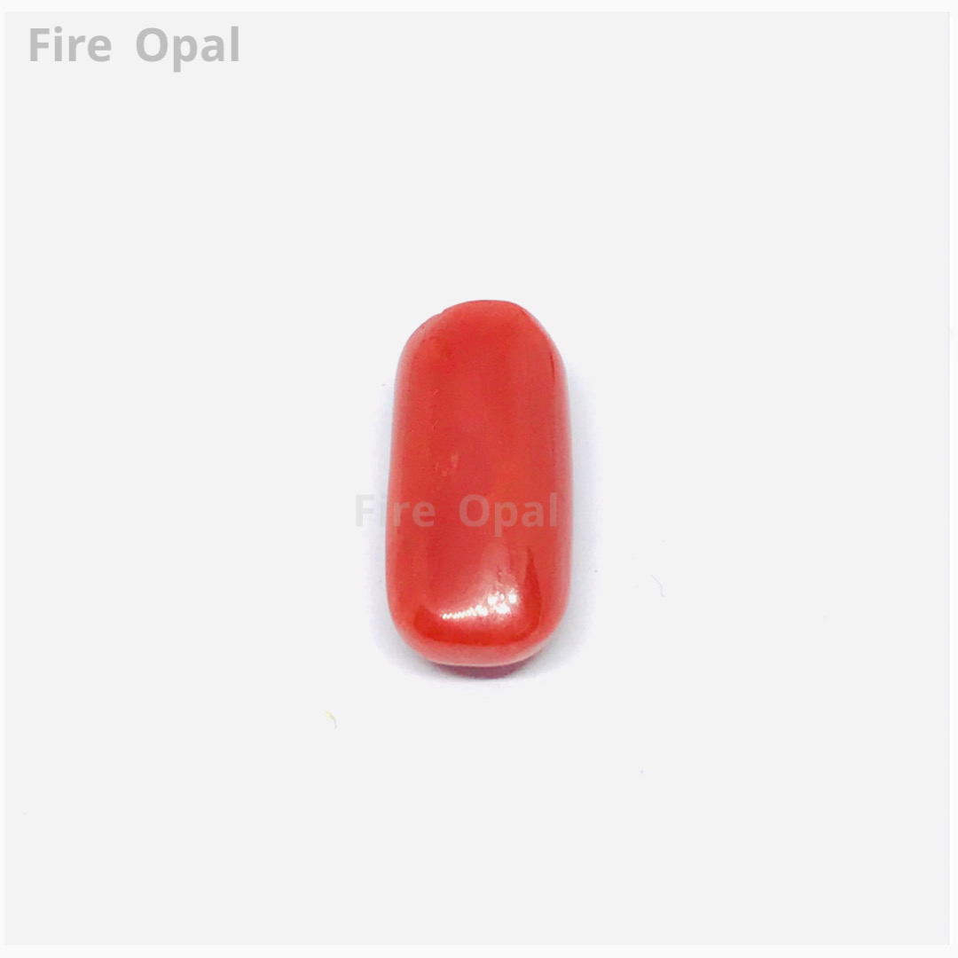 Natural Red Coral Stone (rokto probal) /Italian Stone/5/6/7 Rotti ...