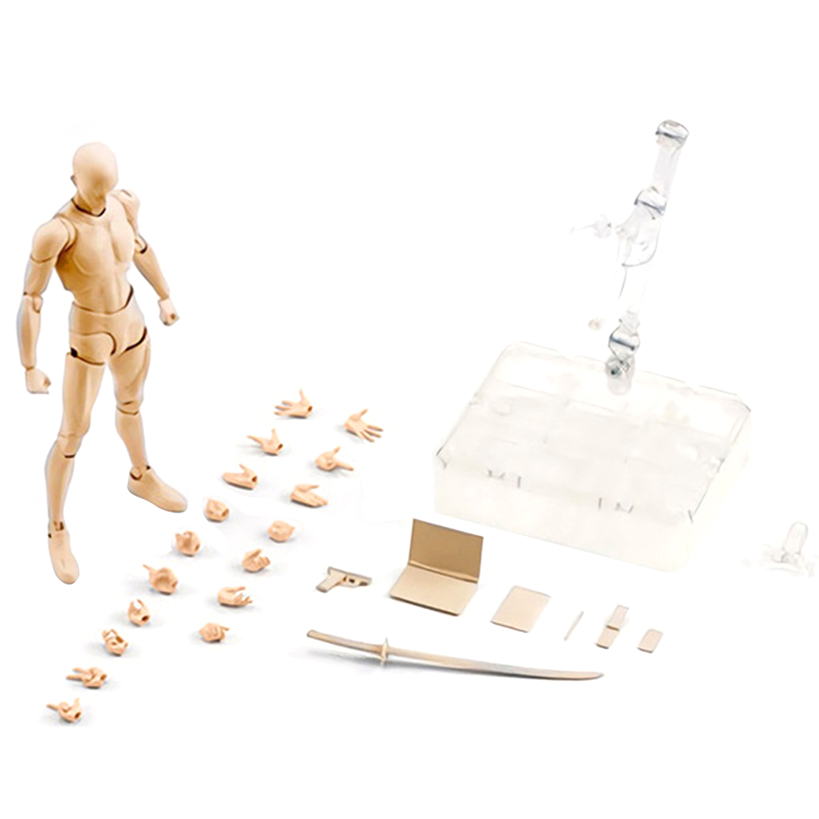 Body Kun DX Set Body Kun And Body Chan Set PVC Action Figures Drawing ...
