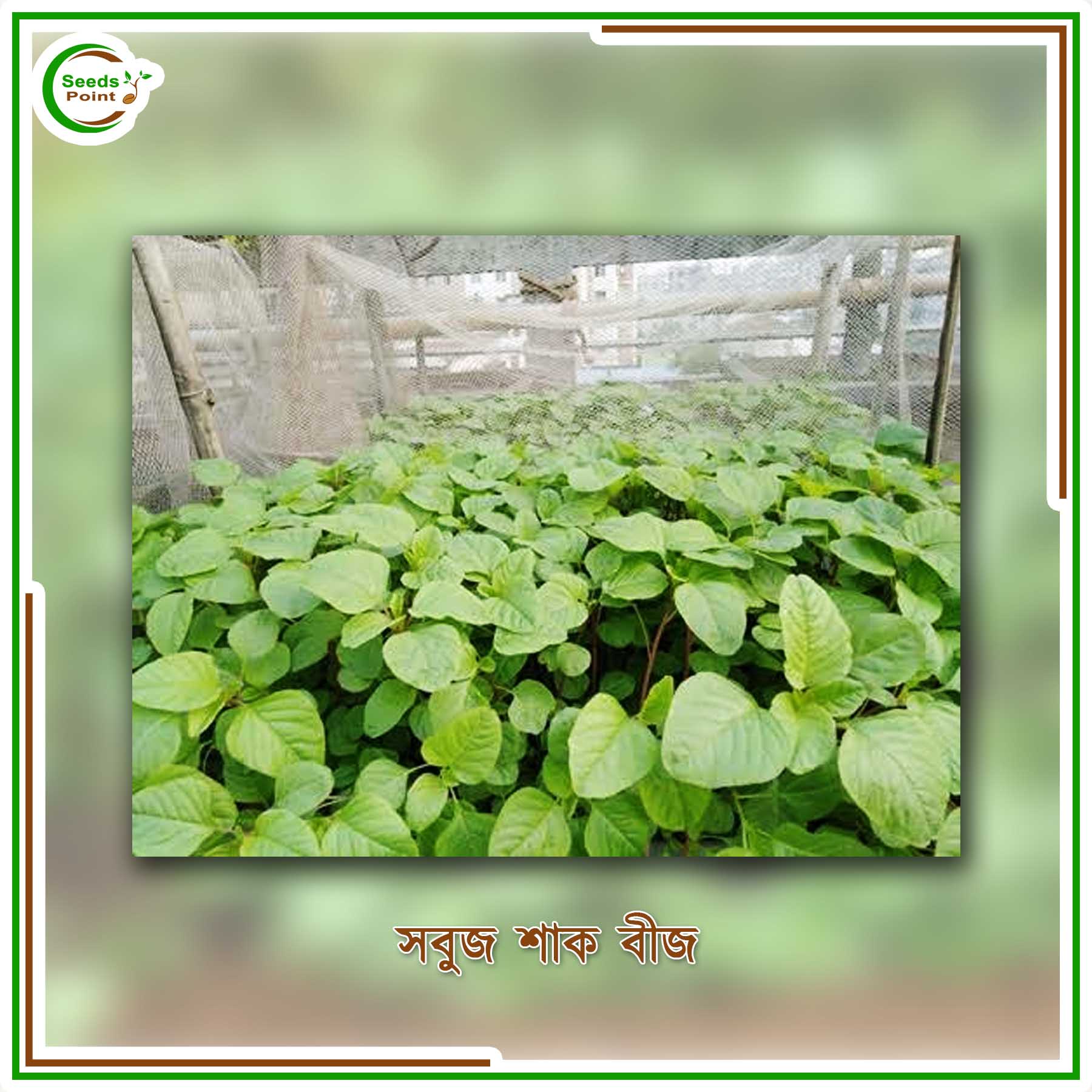 Sobuj Shak Seed - 15 gm | Daraz.com.bd