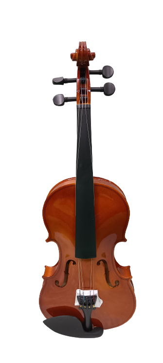 Valencia - 4/4 Professional violin | Daraz.com.bd