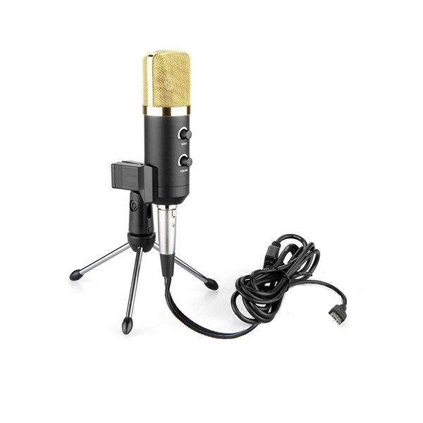BM-100FX USB Powered Condenser Studio Recording Microphone with Noise ...