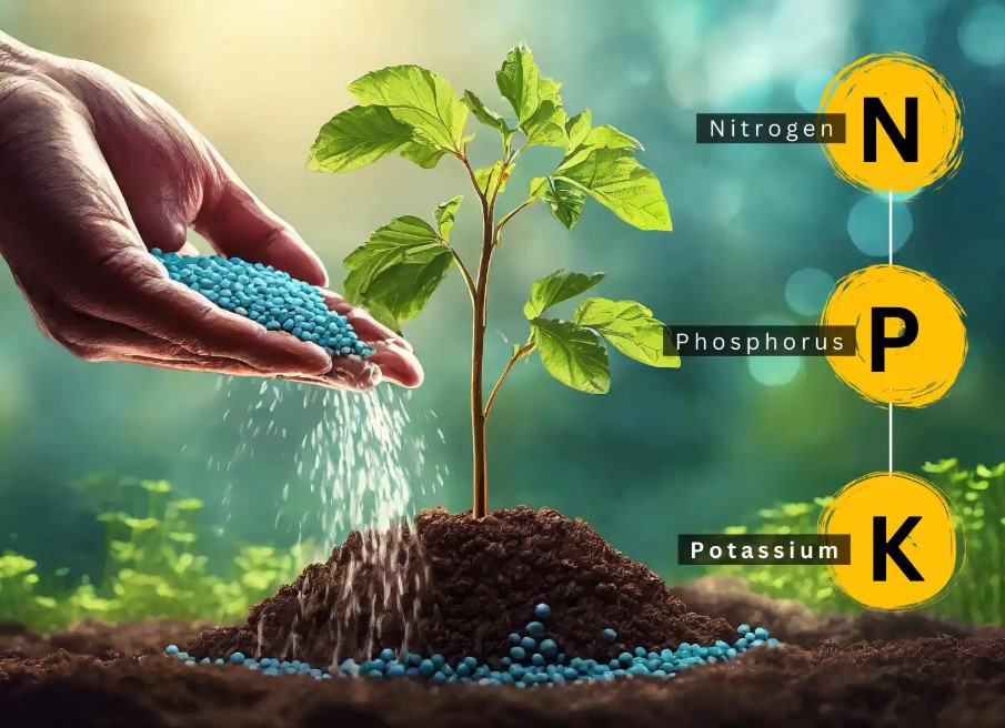 NPK 10 gram luj pack, imported from chaina. Suitable for all kinds of ...